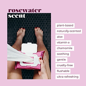 Goodwipes Flushable Butt Wipes Made with Vitamin E & Aloe - Soft & Gentle Wet Wipe Dispenser for Home Use, Septic & Sewer Safe - Largest Adult Toilet Towelettes - Rosewater, 360 Count (6 Packs)