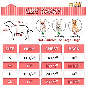 DELIFUR Halloween Dog Tiger Costumes for Cat Small Dogs and Medium Dogs Pet Cosplay Tiger Costume Pet Hoodie Coat Pet Winter Warm Apparel (Large)