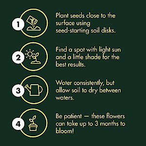 Edible Flowers Indoor Garden Seed Starter Kit - Non-GMO Heirloom Seeds for Planting, Soil, Burlap Pots, Plant Markers, Trimmers, Wood Gift Box, DIY Growing Kits, Home Gardening Gifts for Plant Lovers