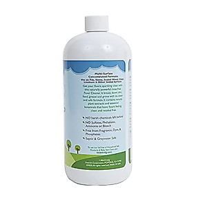 Little Twig Plant Based Concentrated Multi-Surface and Floor Cleaner with Eco-Friendly Ingredients & No Toxic Residue, Child & Pet Safe, Unscented, 32 Fluid Oz (LTWG-FCFF32-06)