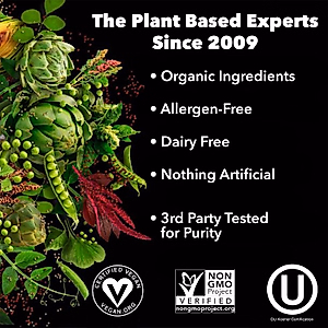 PlantFusion Complete Vegan Protein Powder - Plant Based Protein Powder With BCAAs, Digestive Enzymes and Pea Protein - Keto, Gluten Free, Soy Free, Non-Dairy, No Sugar, Non-GMO - Vanilla Bean 2 lb