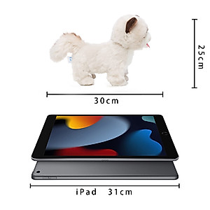 Electronic Interactive Cat Simulation Ragdoll Cat-Realistic Handmade Toy Cat with Walking, Barking, Wagging Tail & Talking-Like Real Robotic Present Pet Toy for Toddler Kids Girls Boys