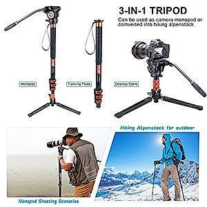 Cayer FP34 Monopod with Feet, 71 inch Aluminum Telescopic Camera Monopod with Fluid Head and 3-Leg Tripod Base for DSLR Video Cameras Camcorders, Supporting up to 13.2lbs
