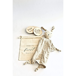 Baby Gift Box - Handcrafted Welcome Baby Gift Set - Choose 5 or 3-Pack Baby Shower Including Milestones, Closet Dividers, & More. +Additional Item: Birth Stat Disc. (Months Set 3-Pack)