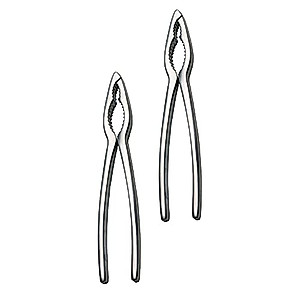 RSVP International Endurance Collection Seafood, Cracking Tool, 6.25 inches, 2 Piece, Stainless Steel