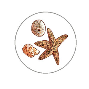 Beach Envelope Seals - 1.2" Circle Shells Stickers - 144 Circle Stickers (Shells)