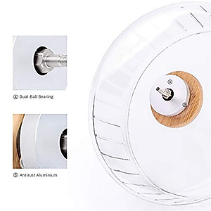 Niteangel Super-Silent Hamster Exercise Wheels - Quiet Spinner Hamster Running Wheels with Adjustable Stand for Hamsters Gerbils Mice Or Other Small Animals (M, Transparent)