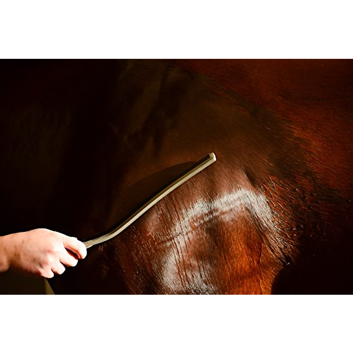 WAHL Professional Animal Equine Grooming Sweat Scraper Horse Tool, Black (858713)