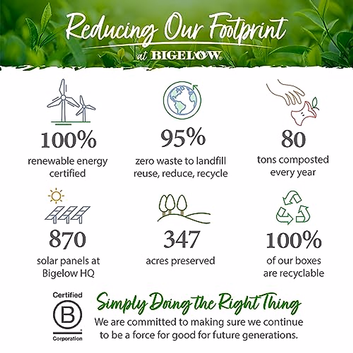 Bigelow Tea Green Tea Keurig K-Cup Pods, Caffeinated Tea Keurig Tea Pods, 24 Count Box (Pack of 4), 96 Total K-Cup Pods