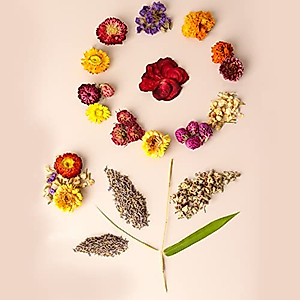 LUVCOSY Hamster Bedding Bundle = 3lb Bath Sand + 5oz Flower Petals + 4oz Dry Forest Moss, Cage Accessories, Habitat Decor, Odor Control for Syrian Hamster, Guinea Pig, Reptile & Small Animals