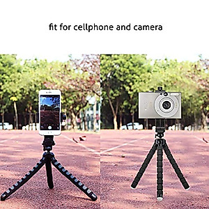 Ailun Tripod Phone Mount Holder Head Standard Screw Adapter Rotatable Digtal Camera Bracket Selfie Lens Monopod Adjustable Ring Light for Camcorder,Compatible for Most Cellphones iPhone