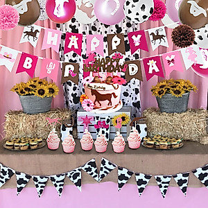 Western Cowgirl Pink Birthday Party Decoration, Retro Horse Rodeo Party Supplies for Girls Including Birthday Banner, Horses Garland, Horse Star Balloons, Tissue Pom Poms, Cake Toppers (Pink Cowgirl)