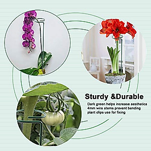 Dreecy 6 Pack 16 Inch Orchid Support Stakes with 12 Pcs Clips, Sturdy Metal Floral Flower Support Garden Single Stem Plant Stakes for Amaryllis Orchid Tomatoes Lily Rose Peony,Dark Green