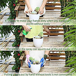 5Pcs Succulent Tools,Mini Garden Tools,Pruning Scissors as Plant Accessories,Succulent Gardending Hand Tools Kit for Seedling Soil,Caring Succulent,Houseplent,Bonsi,Gifts for Woman and Man