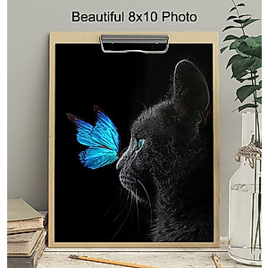 Cat Wall Decor - Butterfly Wall Decor - Blue Butterfly - Black Cat - Cat Gifts for Women - Cute Cat Poster - Cat Posters for Girls Bedroom - Cat Lover Gifts - Cat Wall Art - Butterfly Wall Art