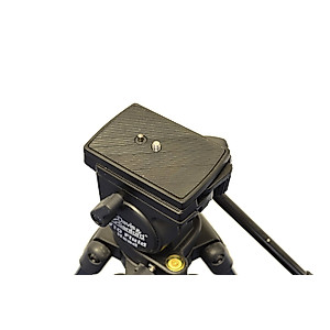 Davis & Sanford PROVISTA6510 Provista65 Tripod with V10 Head for Cameras,Black