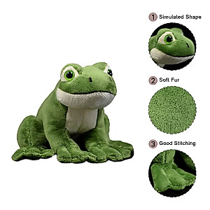 Nohito Kawaii Realistic Frog Plush Toy Simulation Green Frog Stuffed Animal Lifelike Amphibian Reptilian Plushie Pillow Toys Home Decoration 6.2" Long (Green Frog)
