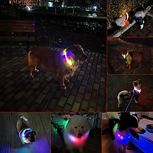 Waterproof LED Dog Collar USB Rechargeable Light Up Dog Collars Lights for Night Walking Lighted Safety Training & Behavior Aids for Small Medium to Large Dogs