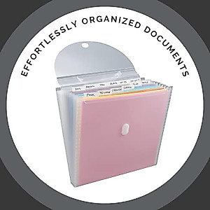 Advantus Expandable Paper Organizer, Accordion File Organizer, Important Document Holder, Clear with 12 Pockets, White, 12x12 Inches