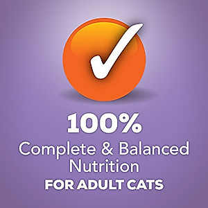 Purina Friskies Gravy Wet Cat Food, Shreds Turkey & Cheese Dinner - (24) 5.5 oz. Cans