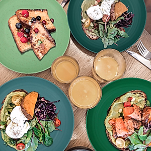 Wheat Straw Plates - 10 Inch Unbreakable Dinner Plates Set of 8 - Modern Dinnerware Dishes Dishwasher & Microwave Safe-Lightweight Plates for kitchen,camping (Forest Series)