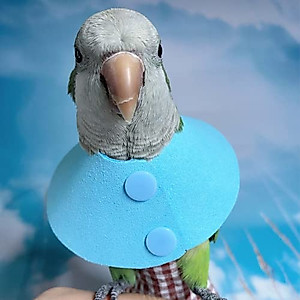 Barn Eleven Bird Collar Anti Bite Elizabethan Recovery Cone, Bird Neck Protector for Feather Plucking, Skin-Friendly Bird Neckwear for Parakeet Color Randomly (Green-cheeked Conure)