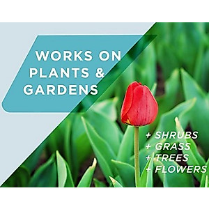 Epsom Salt 4 lbs. Magnesium Sulfate USP Multi-Purpose - Resealable bag