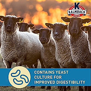 Kalmbach Feeds Medicated Ewe Builder Pelleted Feed for Sheep, 50 lb Bag