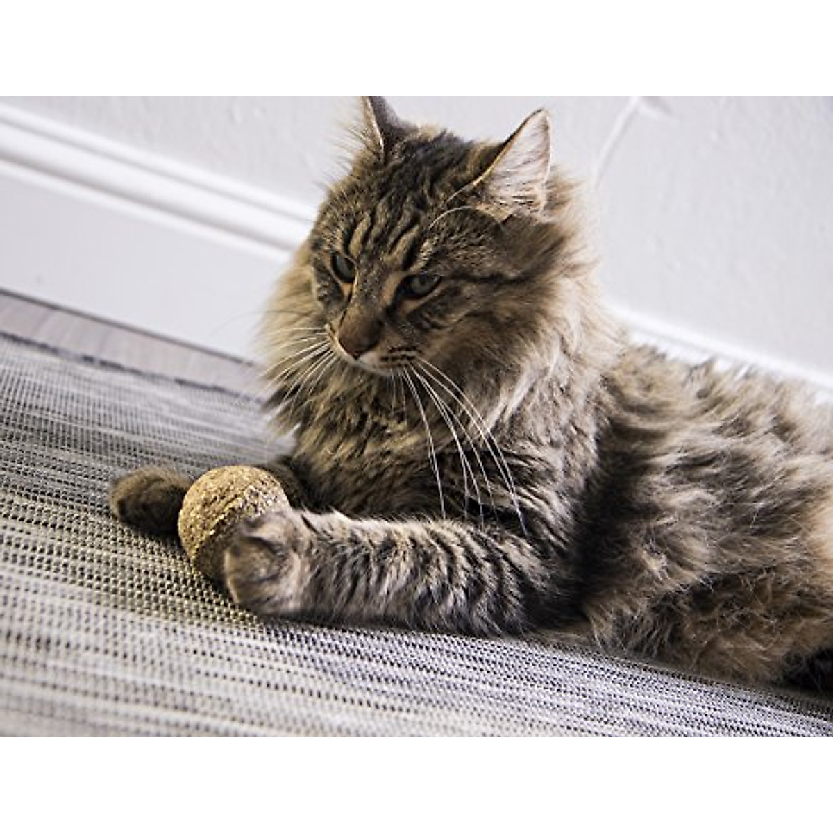 SmartyKat Catnip Kiss Compressed Catnip Ball Toy - Natural, One Size