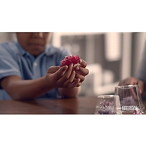 4M Deluxe Crystal Growing Combo Steam Science Kit from STEAM Powered Kids, For Boys & Girls Ages 10+