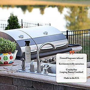 Bayes High-Performance Stainless Steel BBQ Exterior Cleaner and Protectant - Cleans, Shines and Protects Stainless Steel Barbecue Surfaces, Shields from Outdoor Elements - 16 oz