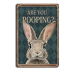 DPHGQGK Rabbit Poster Funny Rabbit Decor Bathroom Decor Bathroom Art Nursery Decor Rabbit Lover Gift Metal Vintage Tin Sign 8x12inch