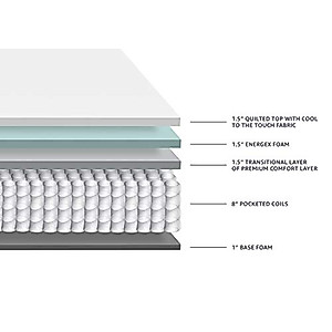 Amazon Basics Signature Hybrid Eurotop Mattress - Medium Feel - Energex™ foam for Deeper Support - Cool to Touch top Fabric - CertiPUR-US Certified - 13.5-inch, Full
