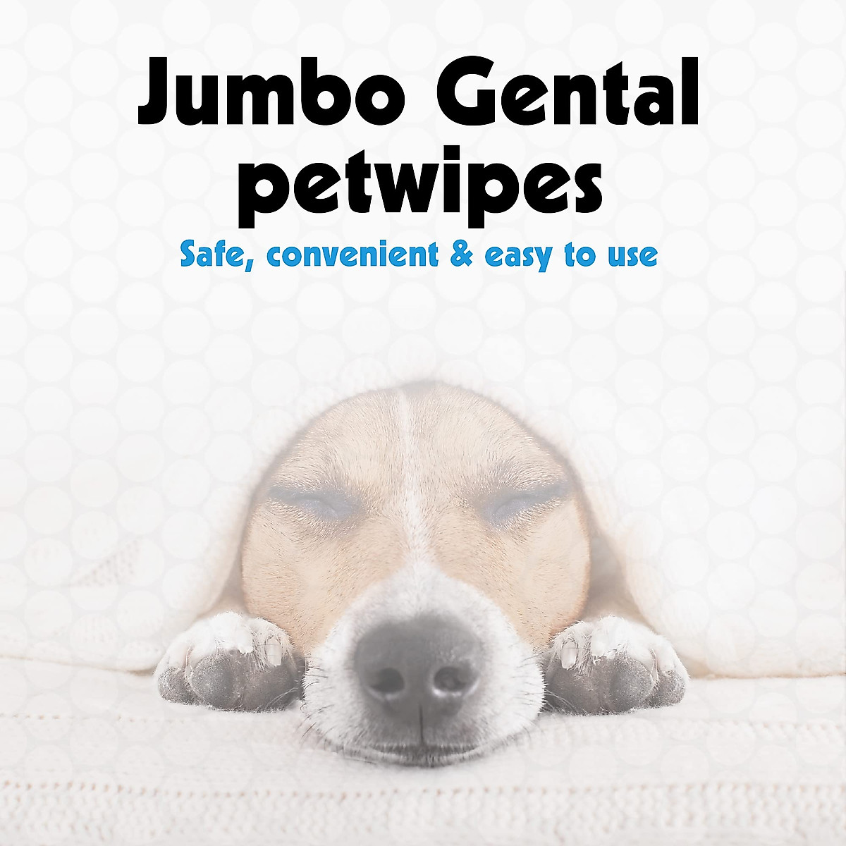 Petkin Jumbo Pet Eye Wipes, 80 Extra Moist Wipes, 2 Pack - Natural Formula Gently Removes Dirt, Discharge, & Tear Stains - Safe, Convenient, & Easy to Use Pet Wipes for Dogs, Cats, Puppies & Kittens