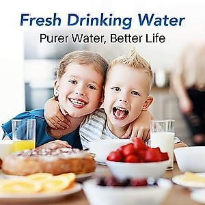 ICEPURE Pitcher Water Filter Replacement for Brita® Standard Water Filter, Brita® Pitchers and Dispensers,Classic OB03, Everyday, UltraMax, Metro+, XL, Mavea® 107007 35557 and More NSF Certified 6PACK