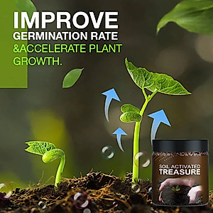XIRUJNFD Soil Activated Treasure-You Will Be Amazed! Indoor Plant Fertilizer, Soil Activated Treasure, Fertilizer for Plants Flower Lawn, Improve Plant Growth (100g,3Pcs)