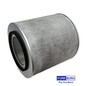 PUREBURG Replacement Filter Set Compatible with Austin Healthmate FR400 HM400 HM402 HM405 HM410 HM450 Air Purifiers,H13 HEPA Activated Carbon & Pre-Filter