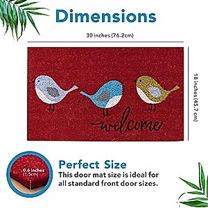Bonletti Coir Door Mat with Attractive Bird Design for Outdoor Entrance - Cute 18"X30" Three Birds Doormat