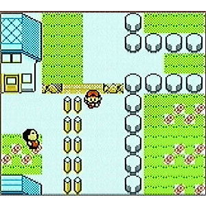 Pokemon Gold Version (Renewed)