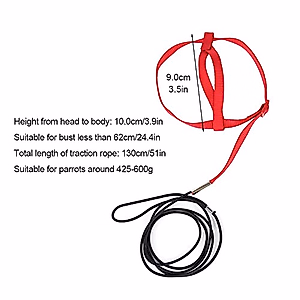 Bird Harness Leash, Parrot Training Harness Cockatiel Traction Rope for Parakeets, Macaws, Parrots, Love Birds