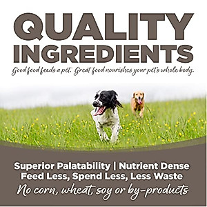 NutriSource Senior Dog Food, Made with Chicken and Rice, with Wholesome Grains, 30LB, Dry Dog Food