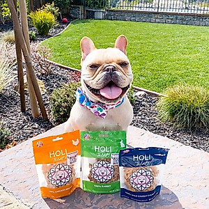 HOLI Freeze Dried Rabbit Treats for Dogs- All Natural Healthy Dog Treats, 100% Made in USA - Single Ingredient - Human Grade - Grain Free - Diabetic Friendly - 1.75oz