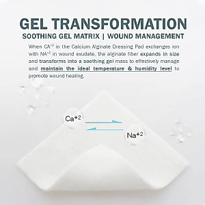 EVERLIT Calcium Alginate Wound Dressing | Gentle, Non-Stick Sterile Dressing Pad | Soft and Highly Absorbent Bandage with Soothing Gel Matrix (Pack of 20)