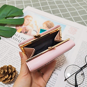 Loxepur Women Cute Fruit Print Wallet Tri-Fold Multi-card Coin Purse (Pink)