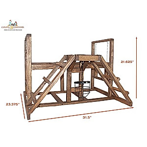 Coops & Feathers Chicken Activity Center-Play, Swing, & Roost-Includes Treat Basket (Small)