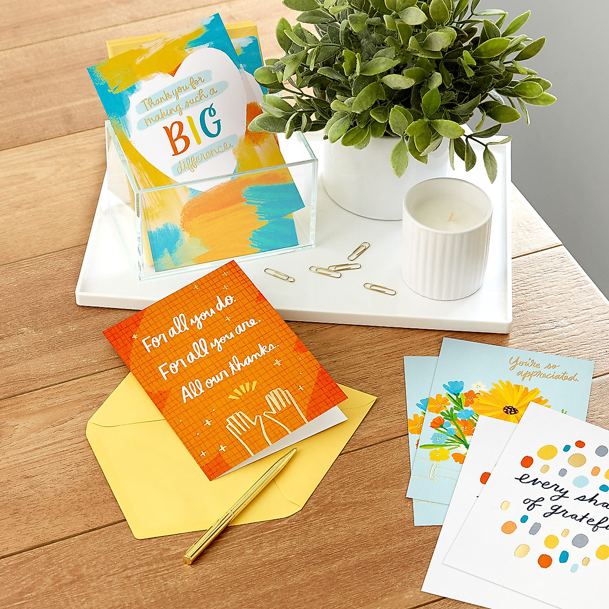 Hallmark Thank You Cards Assortment, Every Shade of Grateful (16 Thank You Notes with Envelopes) for Teacher Appreciation, Caregivers, Graduation