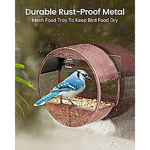 Window Bird Feeder, Desgully Metal Window Bird Feeder, Window Bird Feeders with Strong Suction Cups, Super Adhesive Sheet×4，Large Outdoor Bird Feeder, Bird Watching (Round)