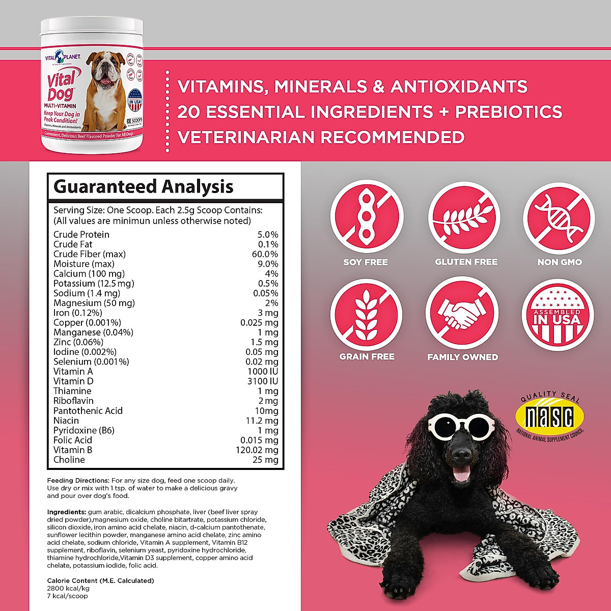 Vital Planet - Vital Dog Multi Vitamin Powder Supplement for Everyday Health with Vitamins, Minerals and Antioxidants for Dogs - Beef Flavored Powder, 30 Servings, 75 Grams