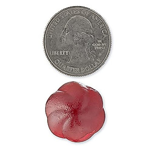 Experience Natural Relief with Spring Valley Menopause Support Gummies - 60 Count (Pack of 2). Includes Luall Fridge Magnetic