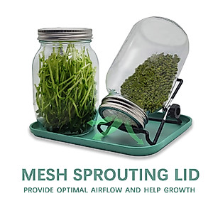 Guyemnat Sprouting Kit, 4 PCS Stainless Steel Sprouting Lids for Regular and Wide Mouth Mason Jars, 2 Sprouting Stands,Sprouting Tray,Label sticker,Sprouts Growing Kit (Not Include Mason Jar)